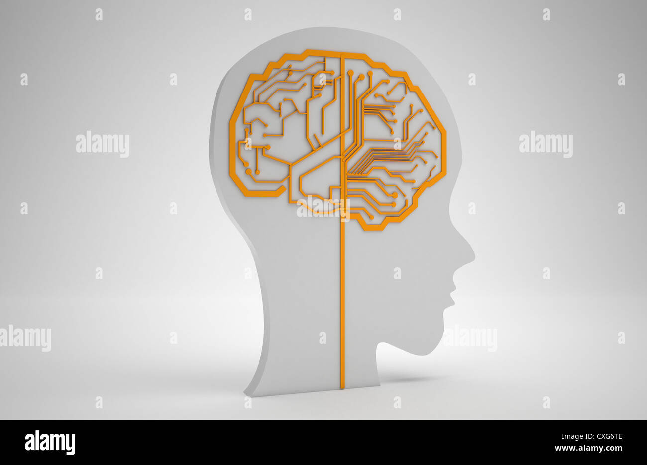 Cranial nerve hi-res stock photography and images - Alamy