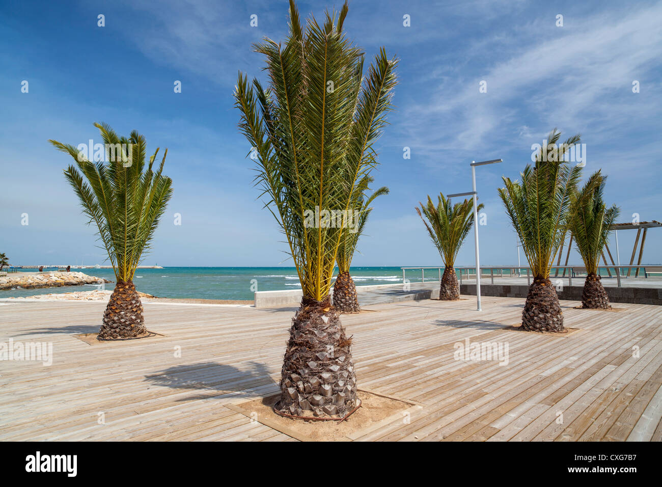 l´ampolla,catalonia,spain.palm tree in promenade Stock Photo - Alamy