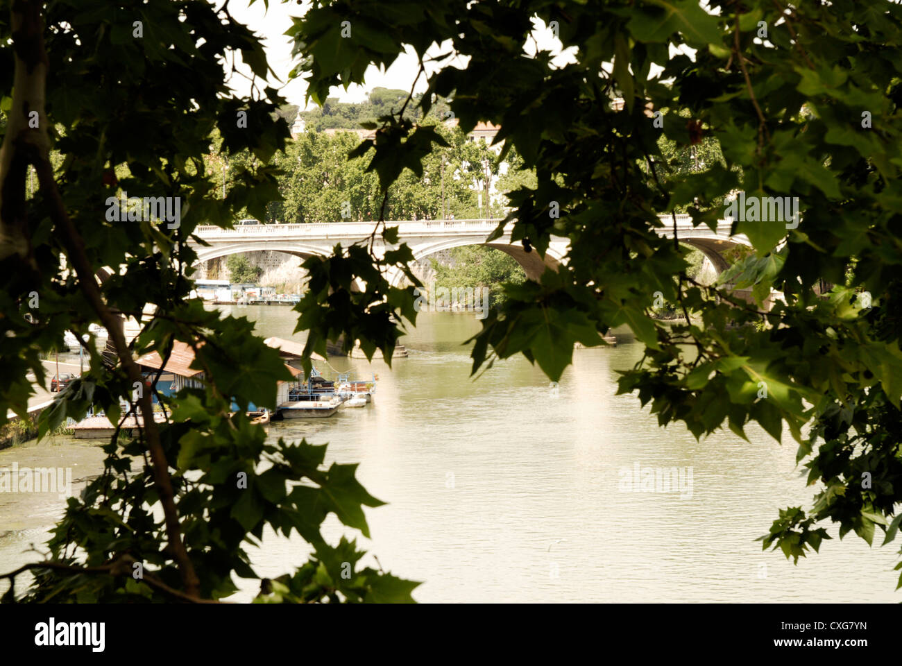 VIEWS OF ANCIENT ROME and the river Tiber and bridge through the trees ...