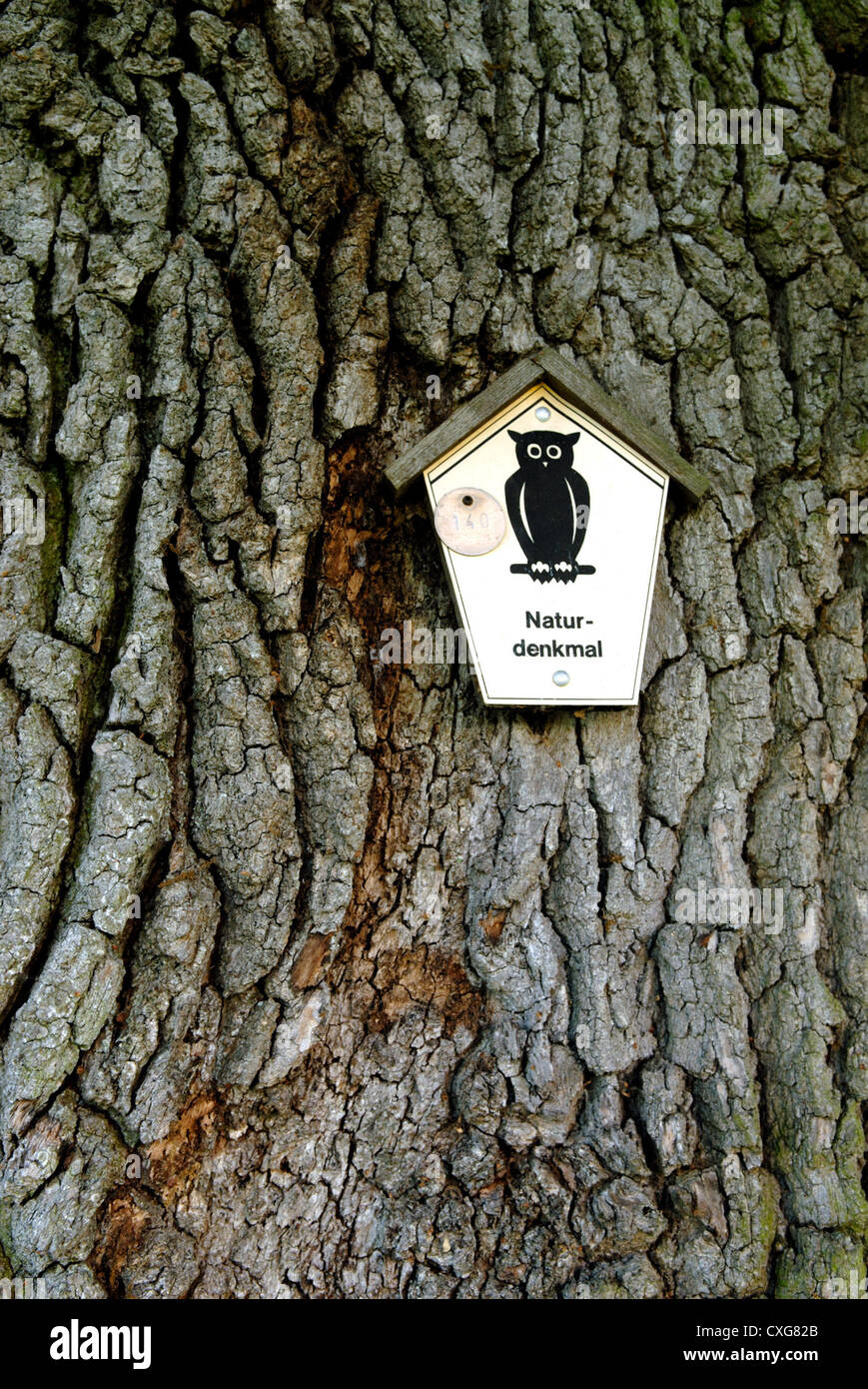 Kremmen plaque for Monument to an old oak tree Stock Photo - Alamy