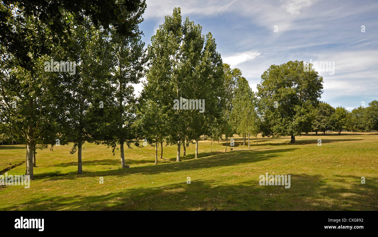 Tree lined landscape in France Stock Photo - Alamy