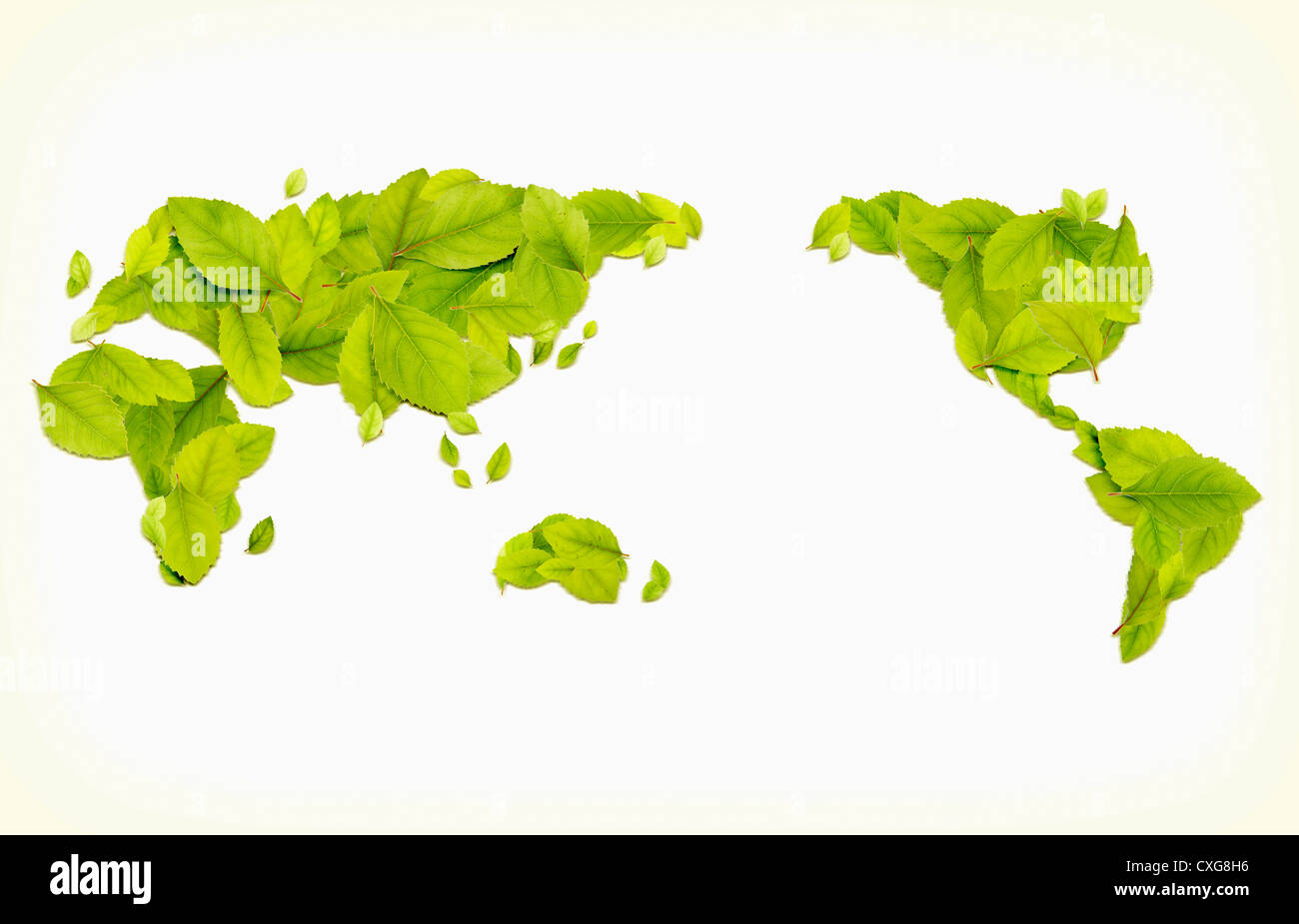 Map of leaves hi-res stock photography and images - Alamy