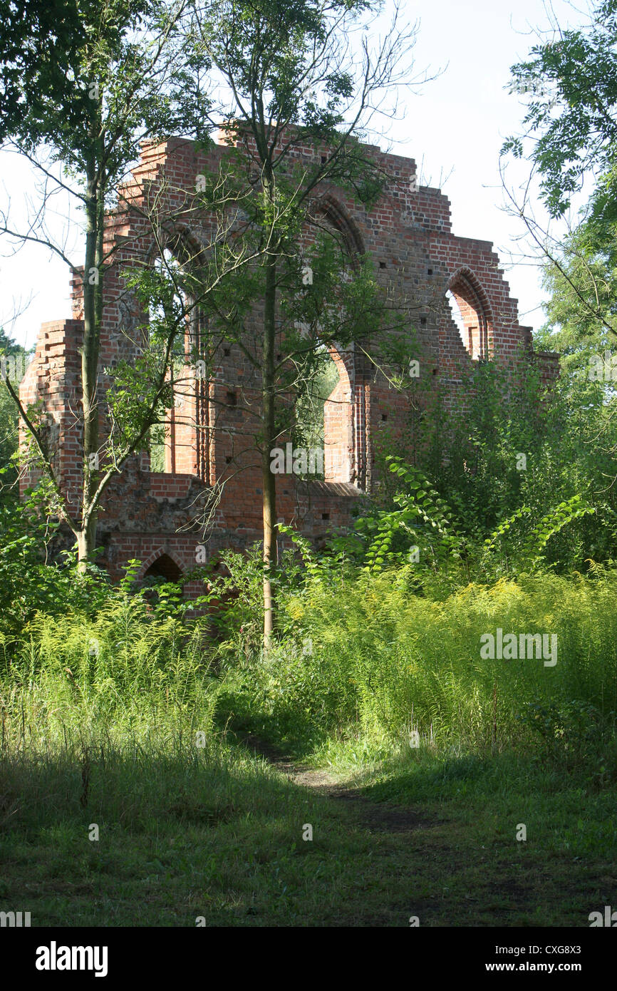 ruin of boitzenburg monastery, boitzenburger land, uckermark, district ...