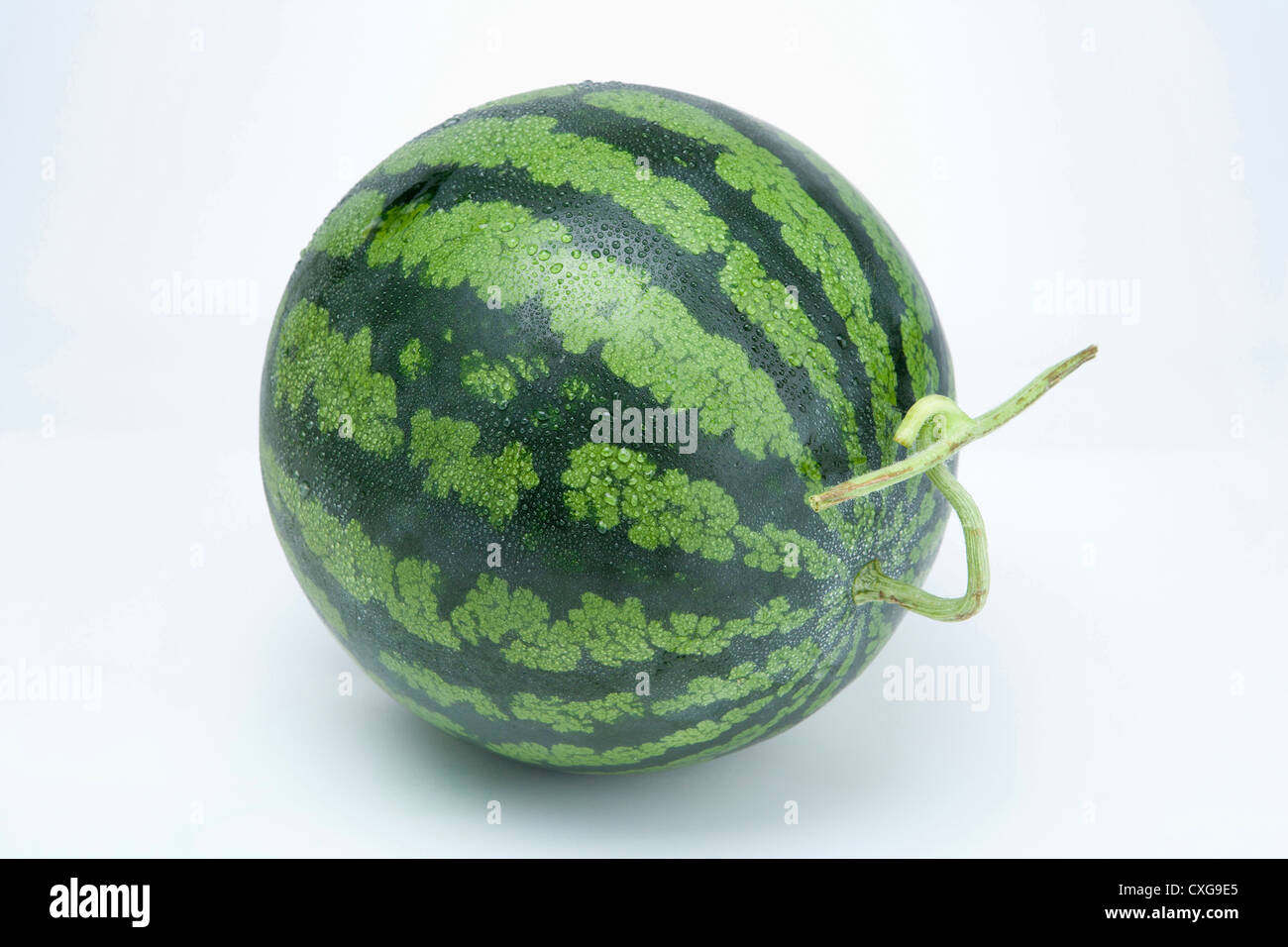watermelon in white background Stock Photo - Alamy