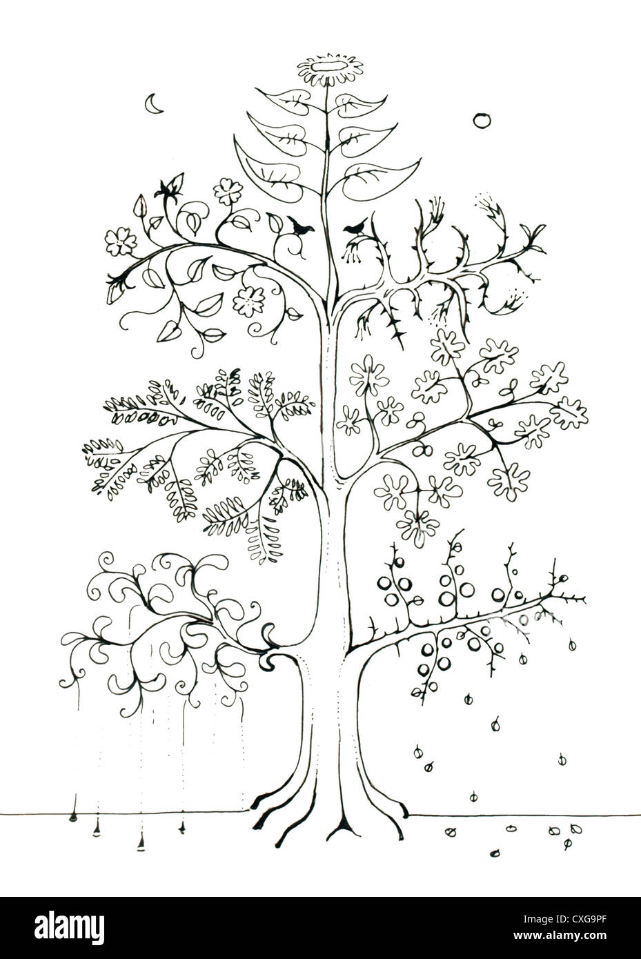 Alchemy tree hi-res stock photography and images - Alamy