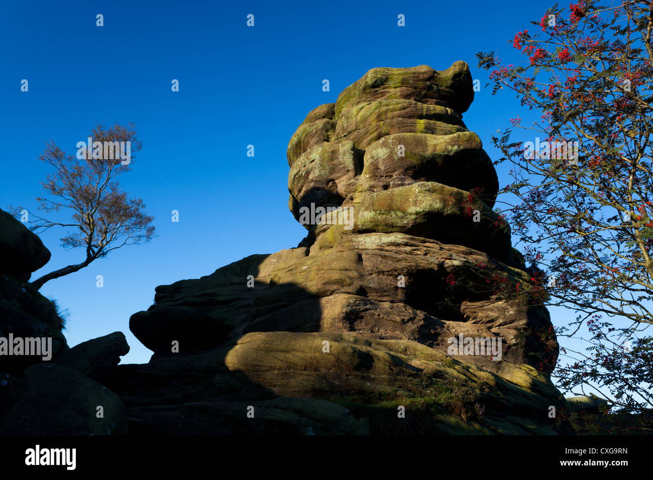Yorkshire tree hi-res stock photography and images - Alamy