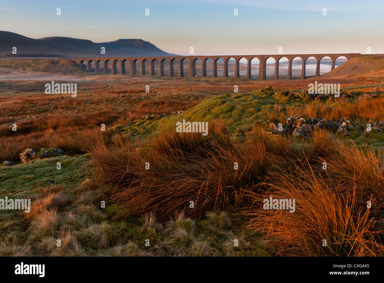 Ribblehead Viaduct, Yorkshire Dales in mist, Golden orange grasses ...