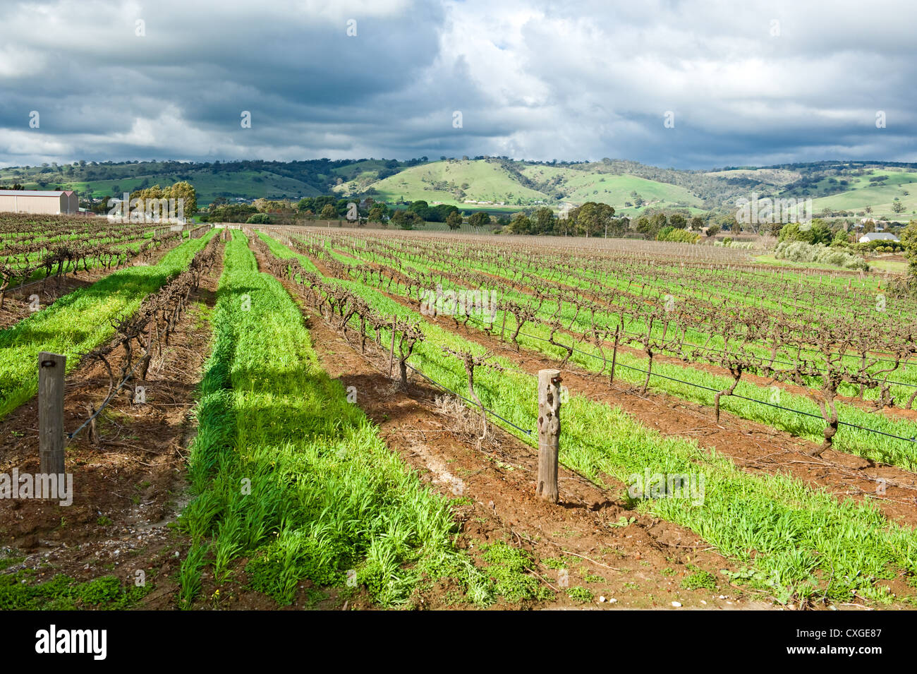 Adelaide winter hi-res stock photography and images - Alamy