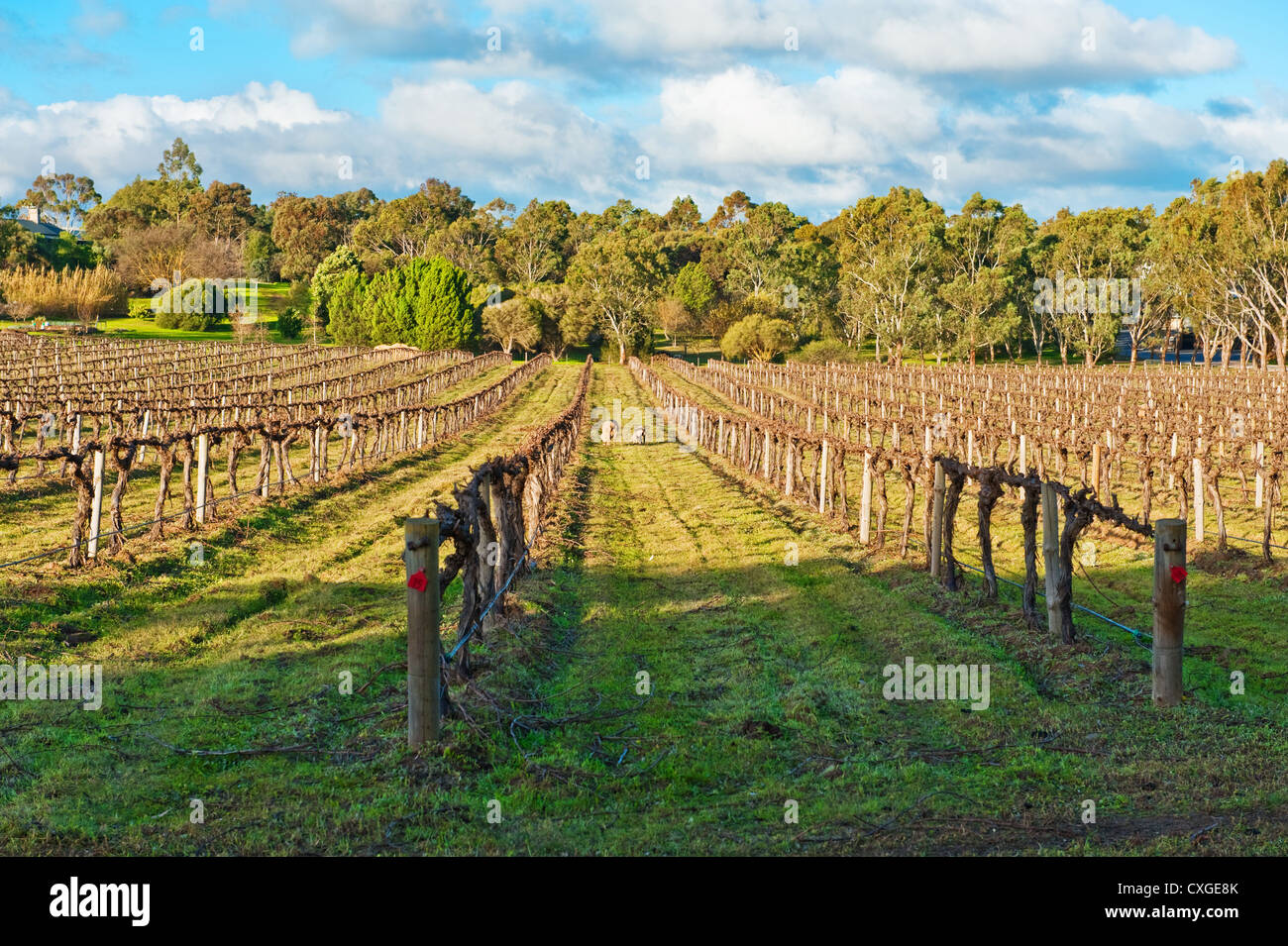 Adelaide winter hi-res stock photography and images - Alamy