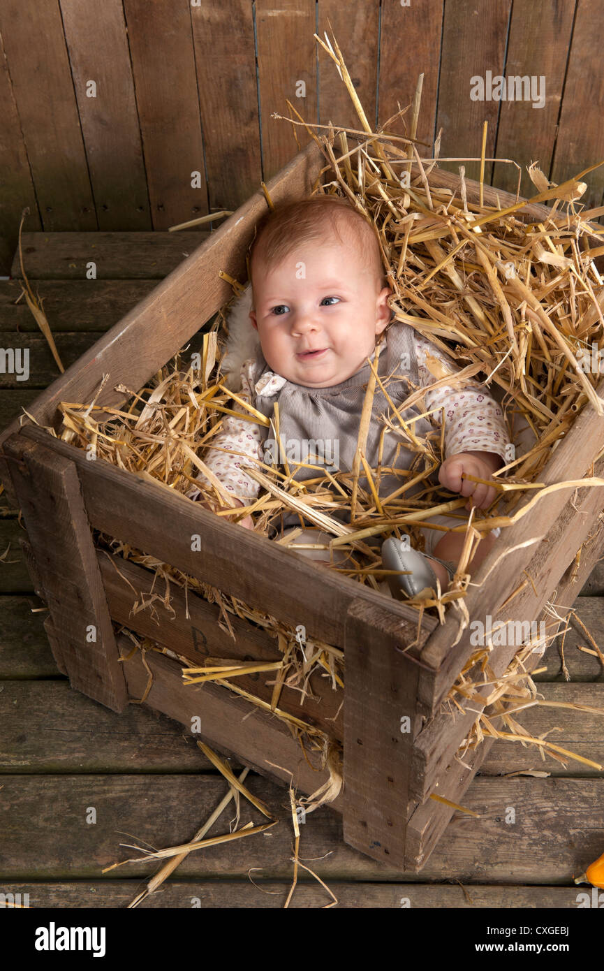 baby lying in a crate with straw Stock Photo - Alamy