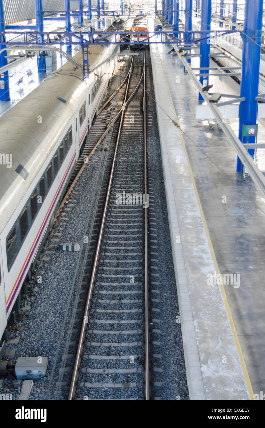 Ave train pyrenees hi-res stock photography and images - Alamy