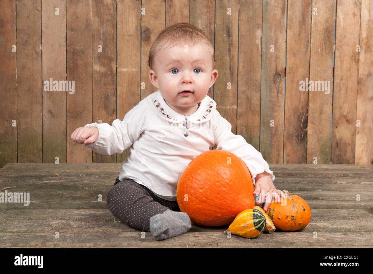 baby with pumpkins Stock Photo - Alamy