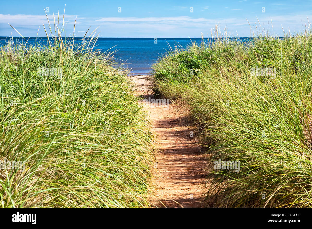 Dune path hi-res stock photography and images - Alamy