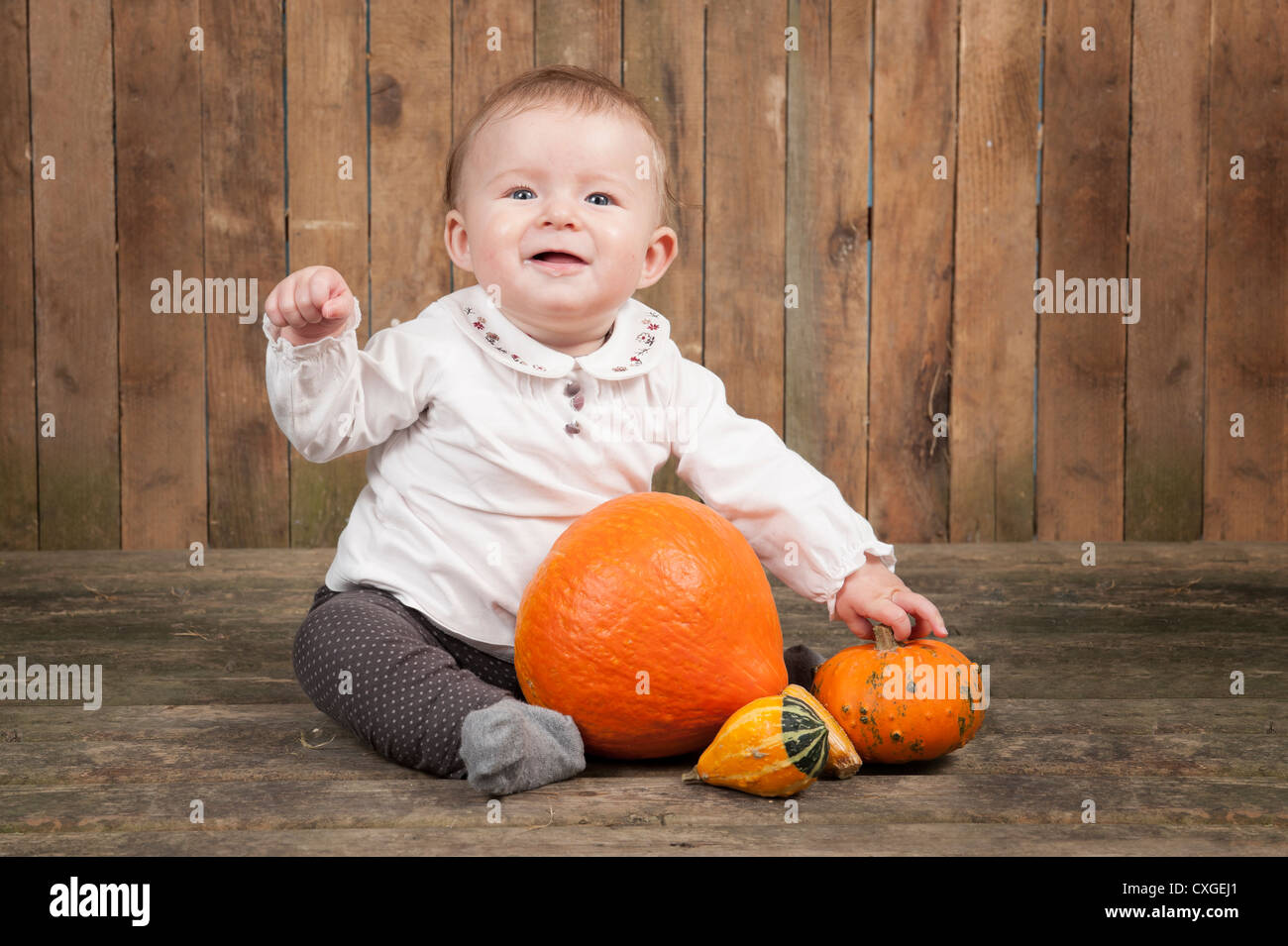 baby with pumpkins Stock Photo - Alamy