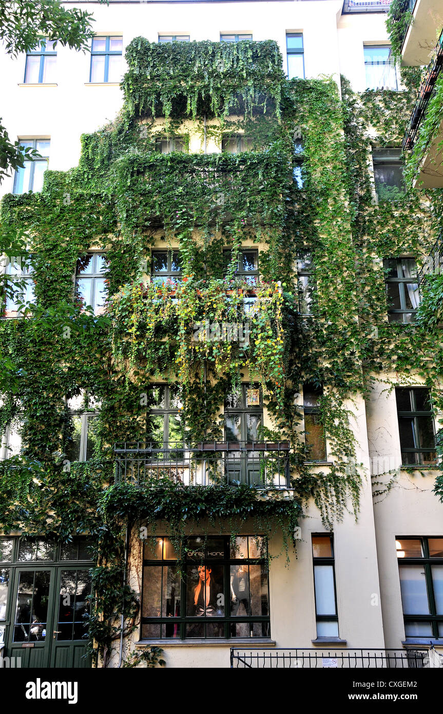 greenery facade of ancient building, Berlin, Germany Stock Photo - Alamy