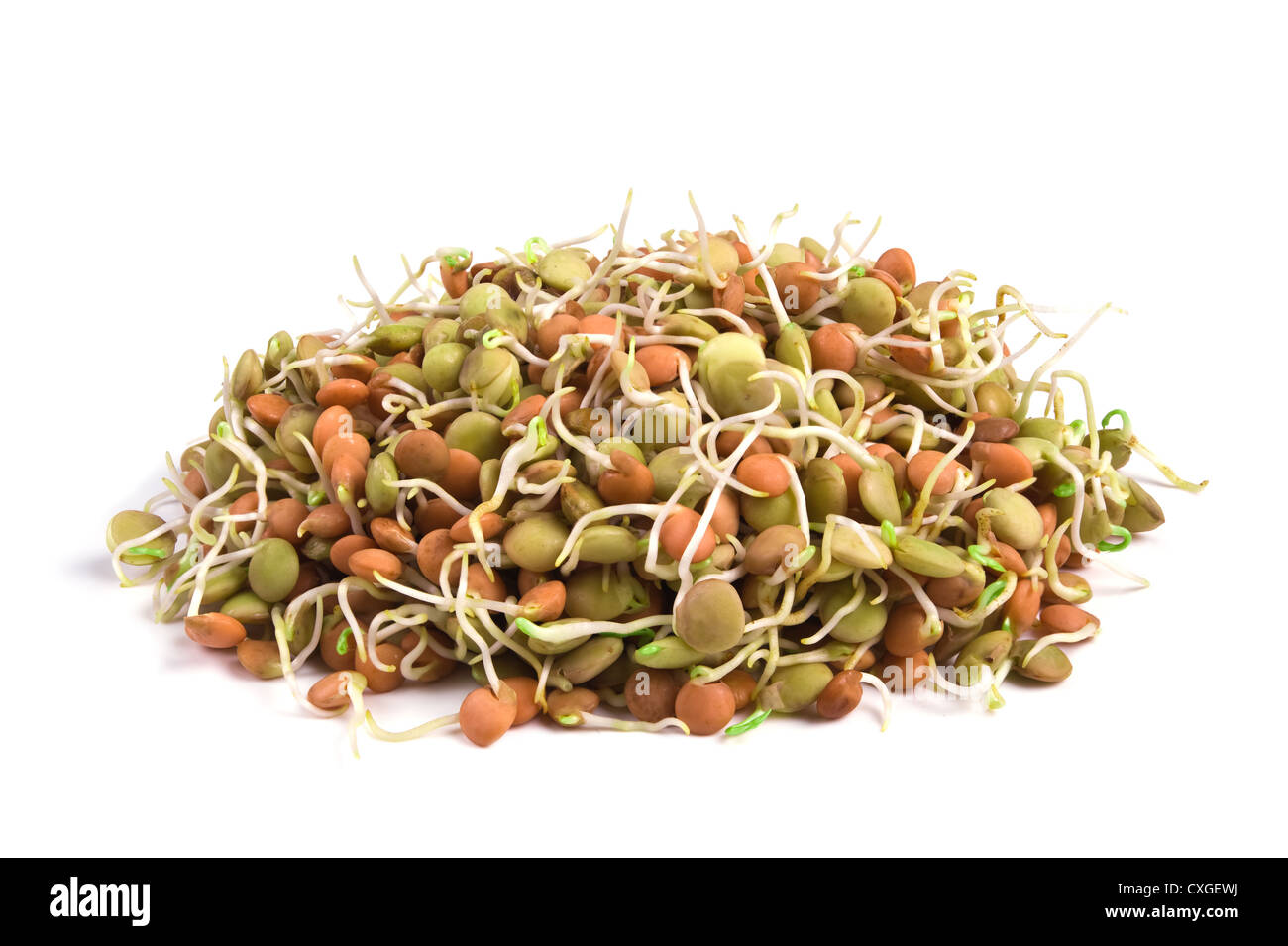 Lentil seeds hi-res stock photography and images - Alamy