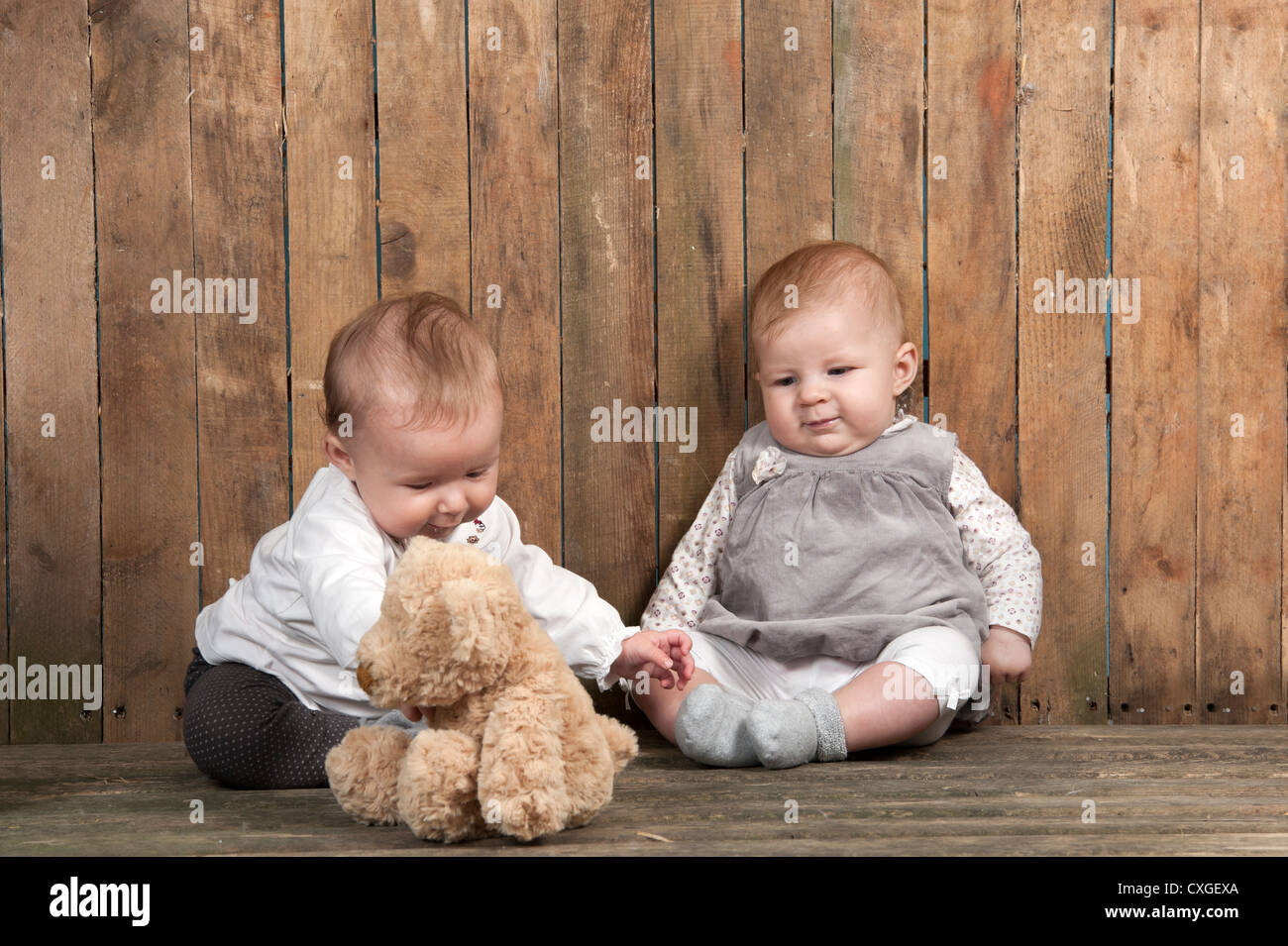 Baby girl teddy bear hi-res stock photography and images - Alamy