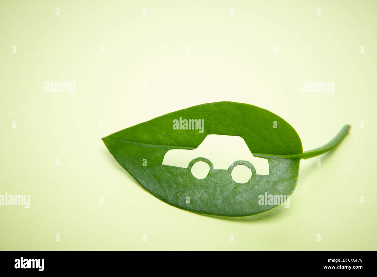A green leaf with a car logo cut out of it Stock Photo - Alamy