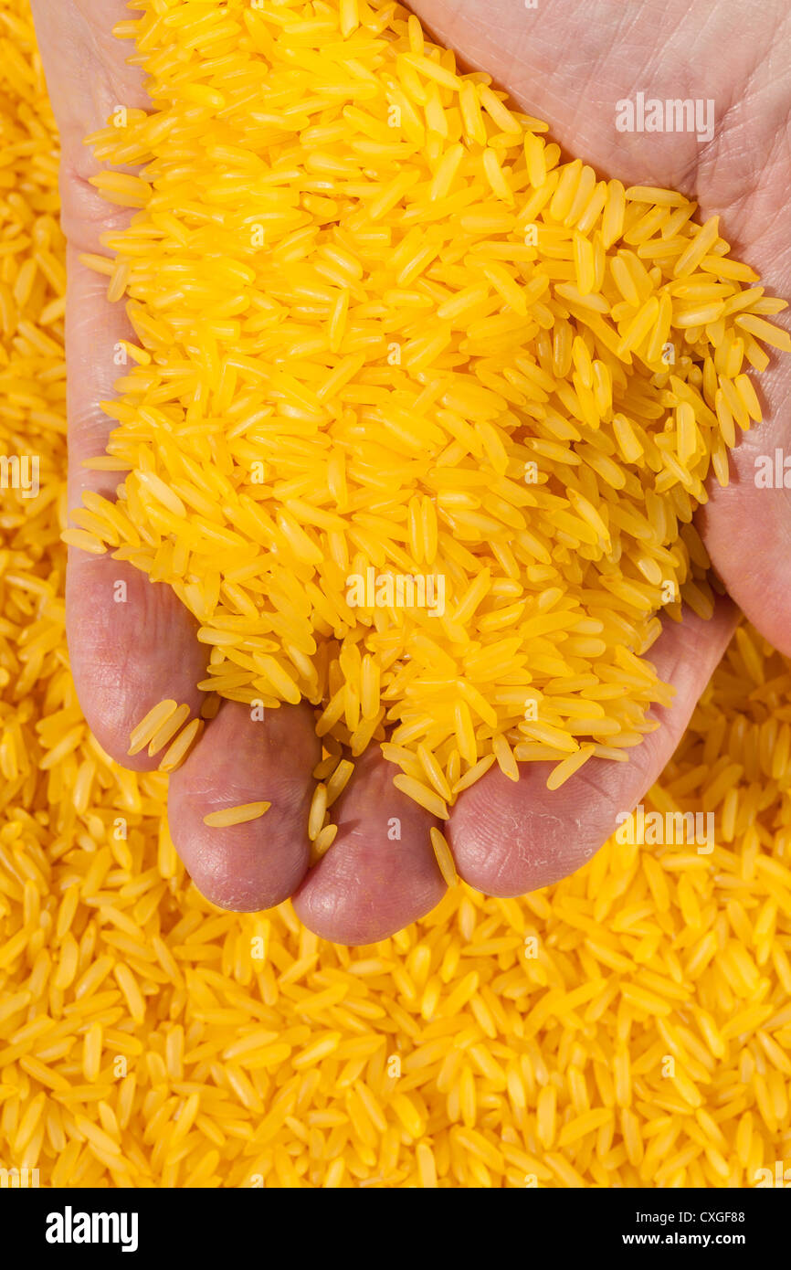 Hand Holding Uncooked Saffron Rice Grains Stock Photo - Alamy