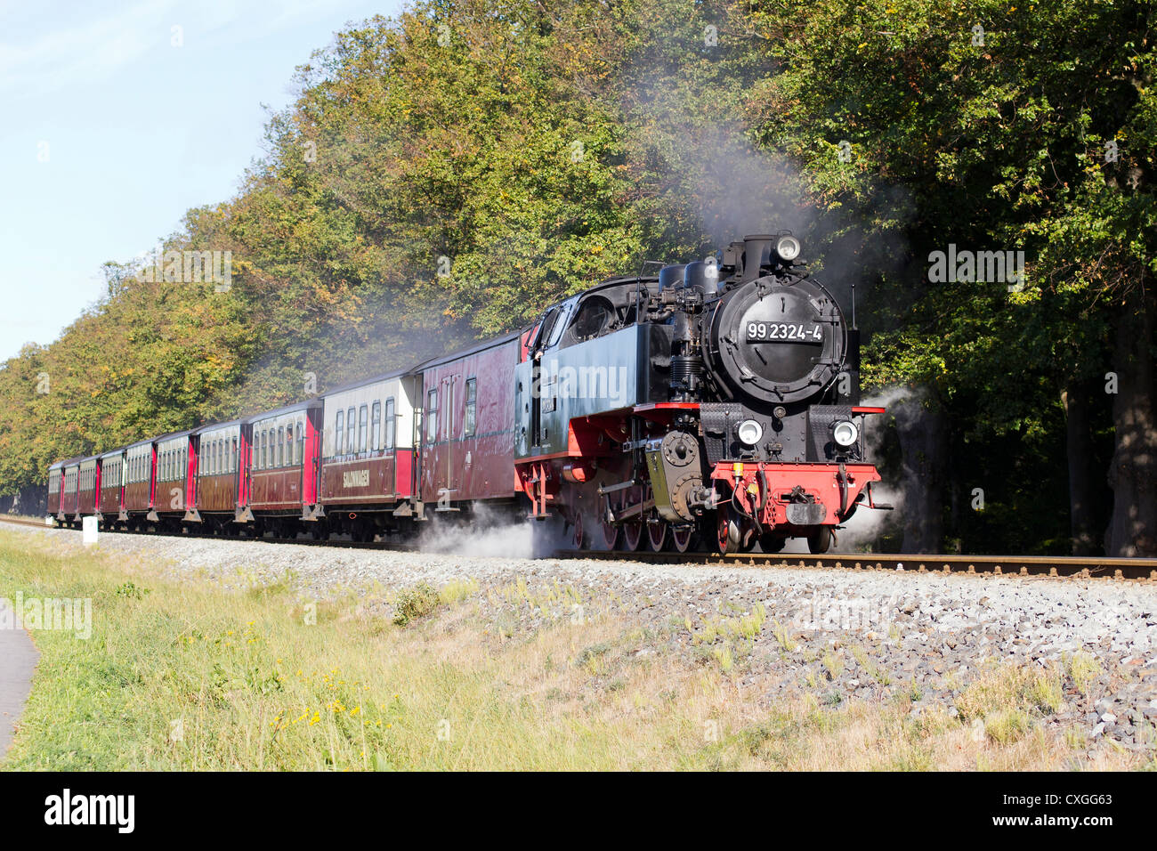Steam locomotive pulling a passenger train. The Molli bahn at Bad ...