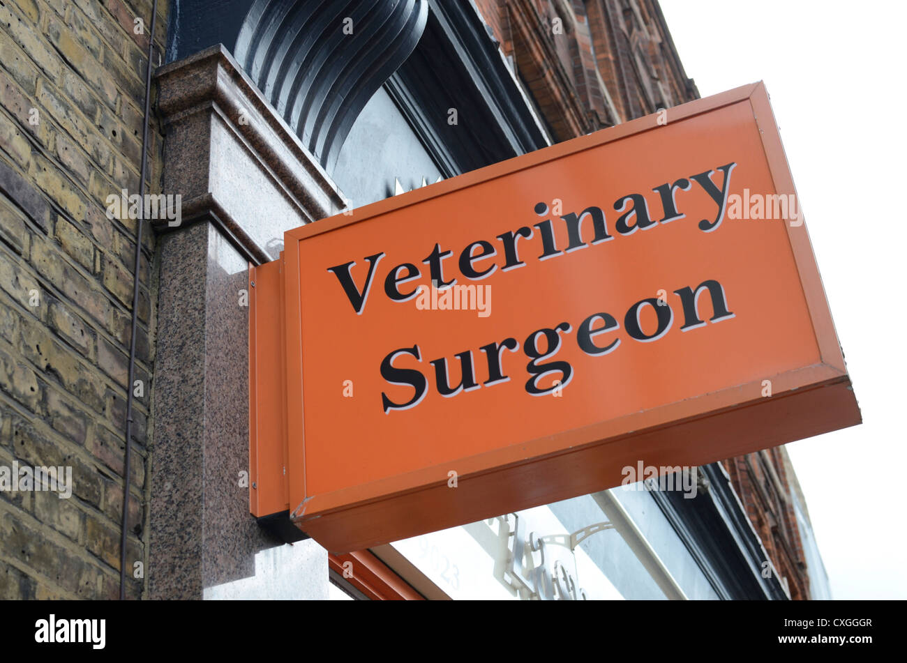 Veterinary surgeon hi-res stock photography and images - Alamy
