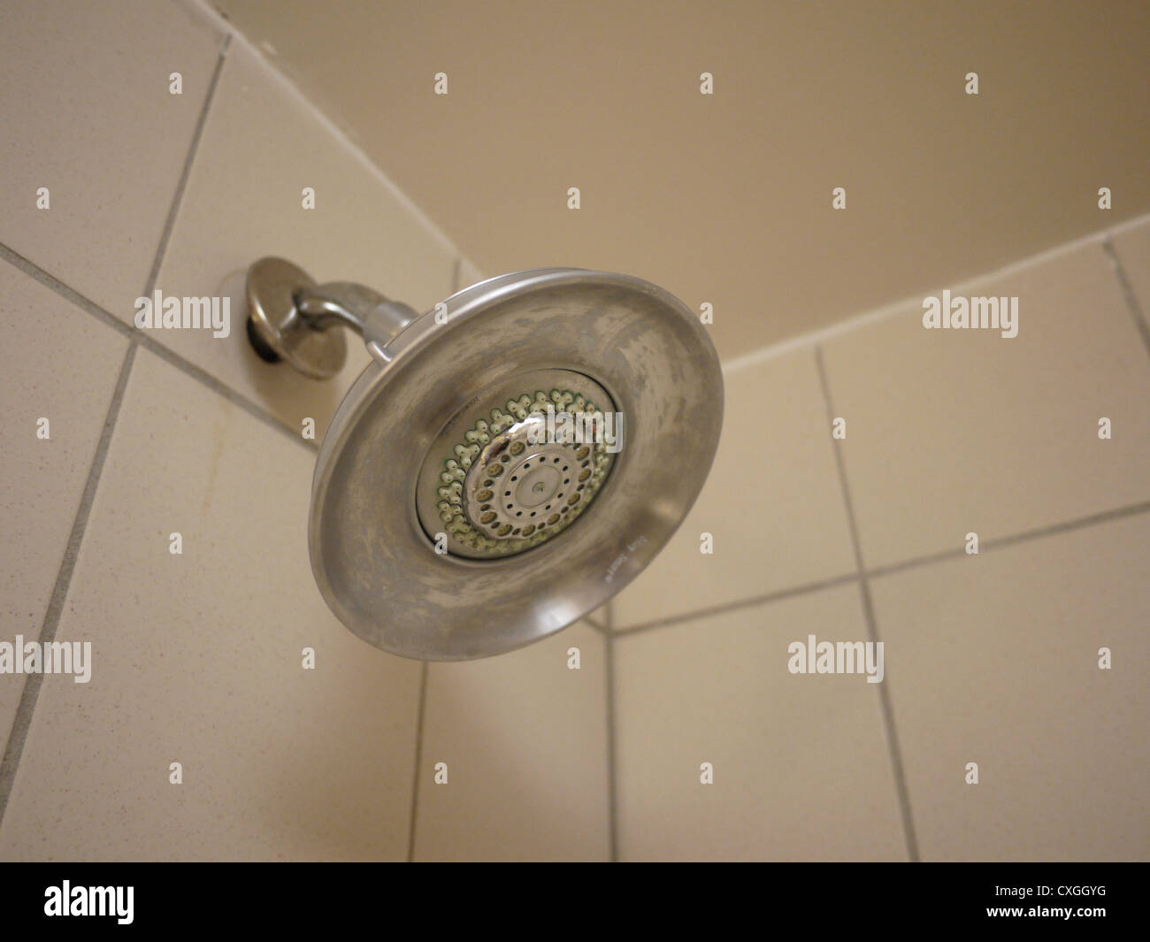 shower head water stain Stock Photo - Alamy