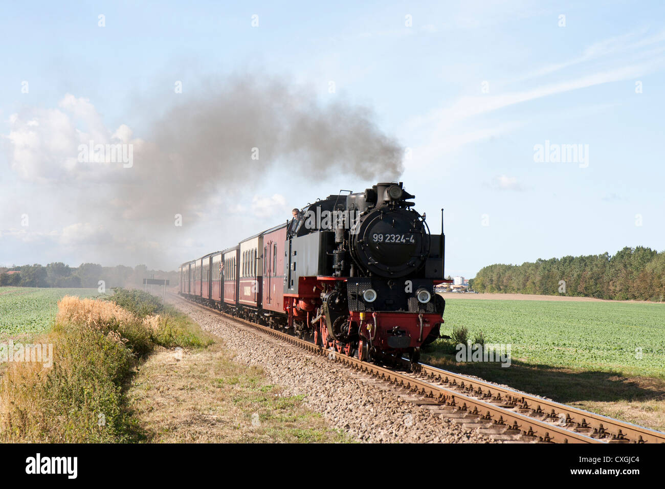 Steam locomotive pulling a passenger train. The Molli bahn at Bad ...