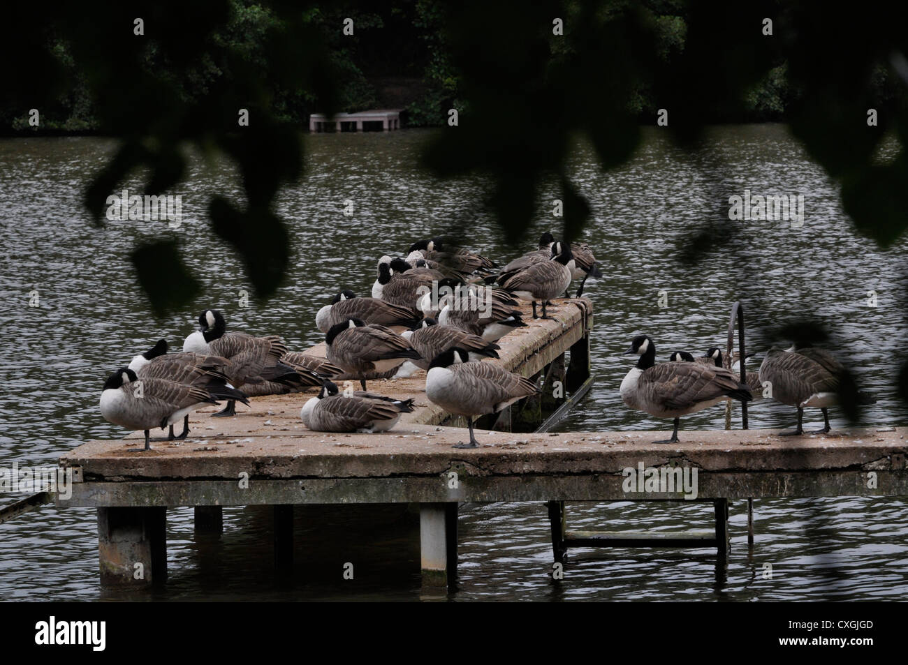 Gathering water hi-res stock photography and images - Alamy
