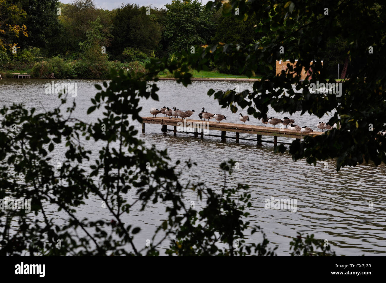 An Obscured View Stock Photo - Alamy