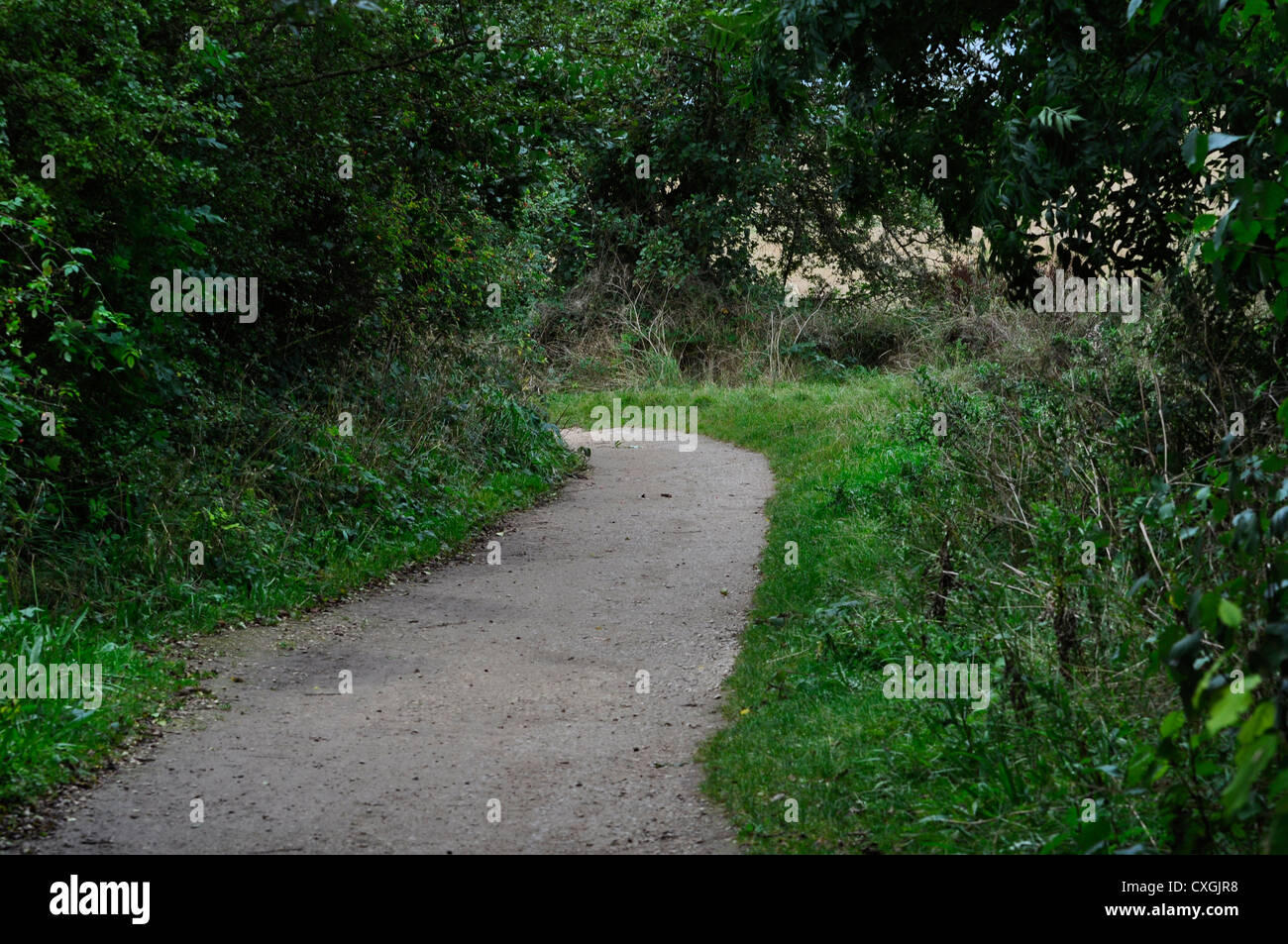Gypsy road hi-res stock photography and images - Alamy
