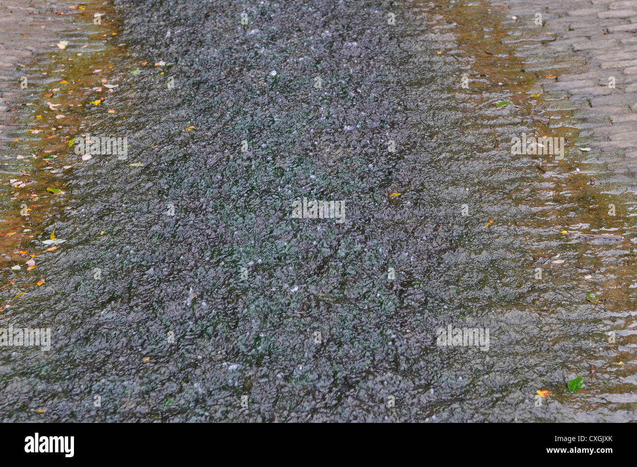 The Stream Of Life Stock Photo - Alamy