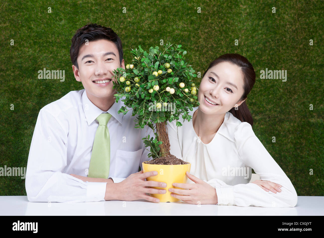a couple holding tree pot in the table Stock Photo - Alamy