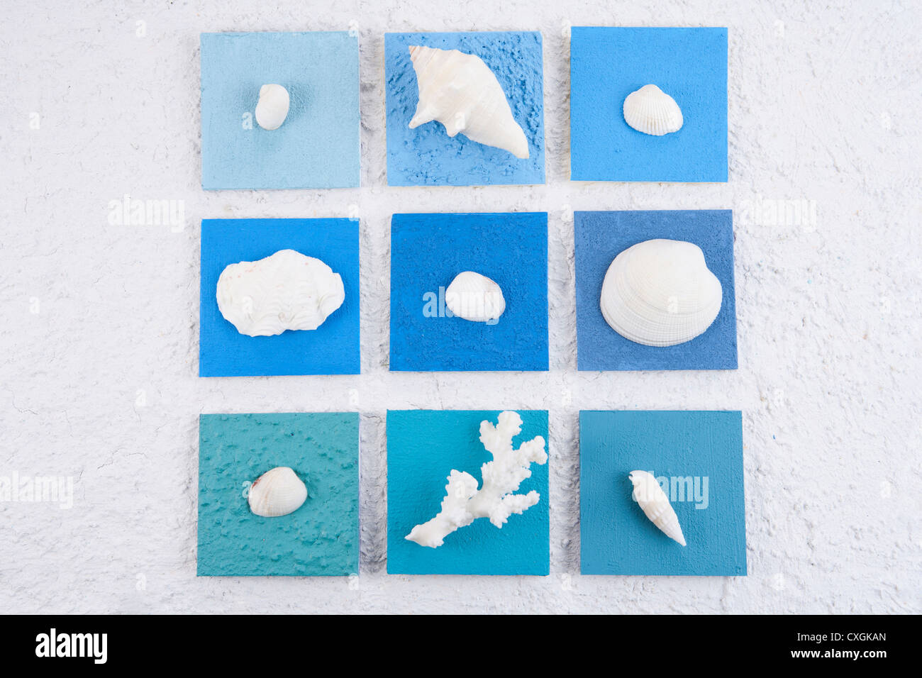 shells blue square tiles Stock Photo - Alamy