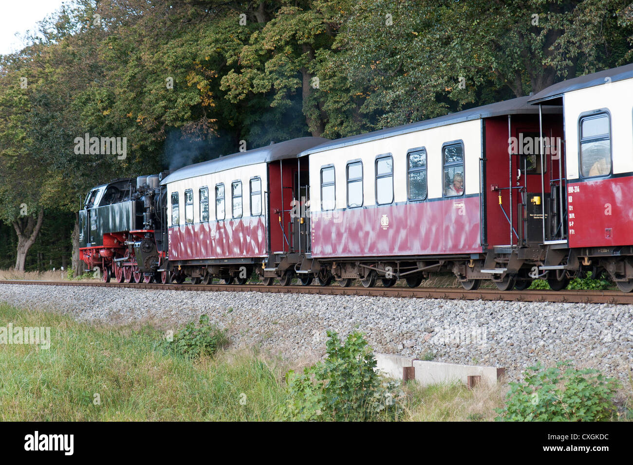 Steam locomotive pulling a passenger train. The Molli bahn at Bad ...
