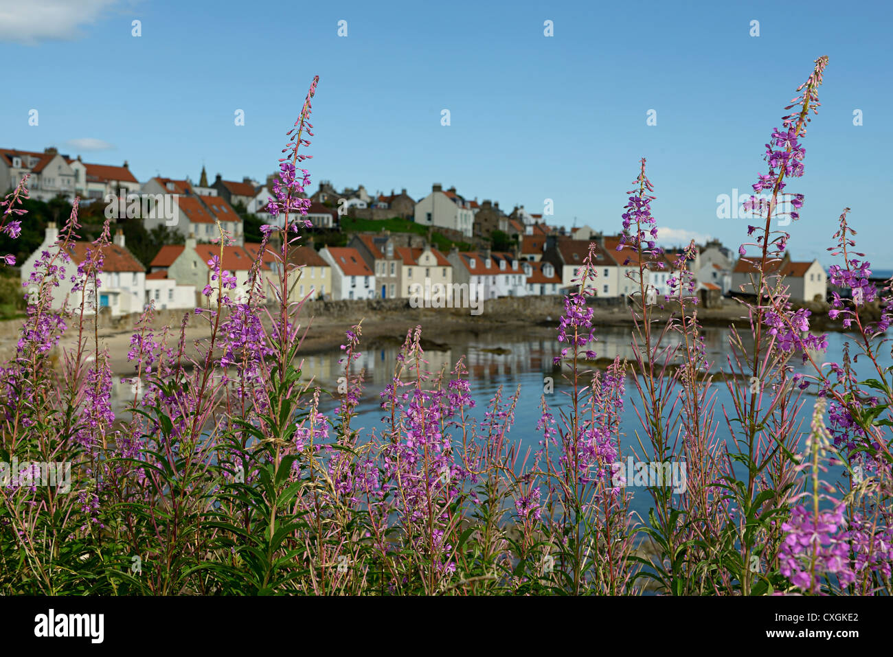 Pittenweem fife hi-res stock photography and images - Alamy