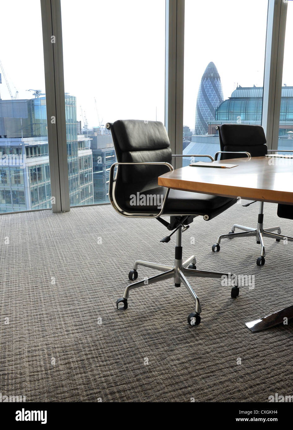 Executive Office View