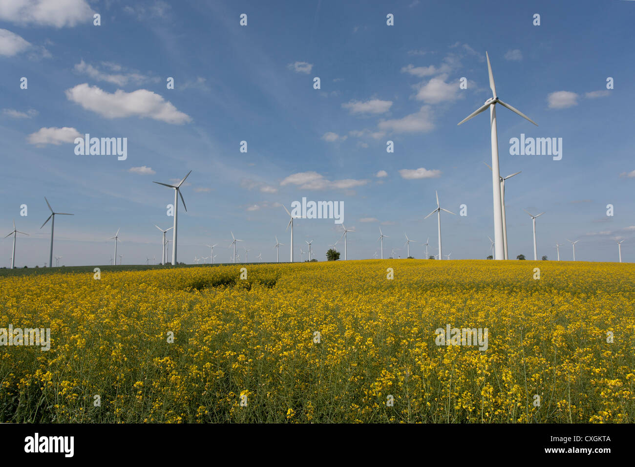wind turbines at prenzlau, uckermark district, brandenburg, germany ...