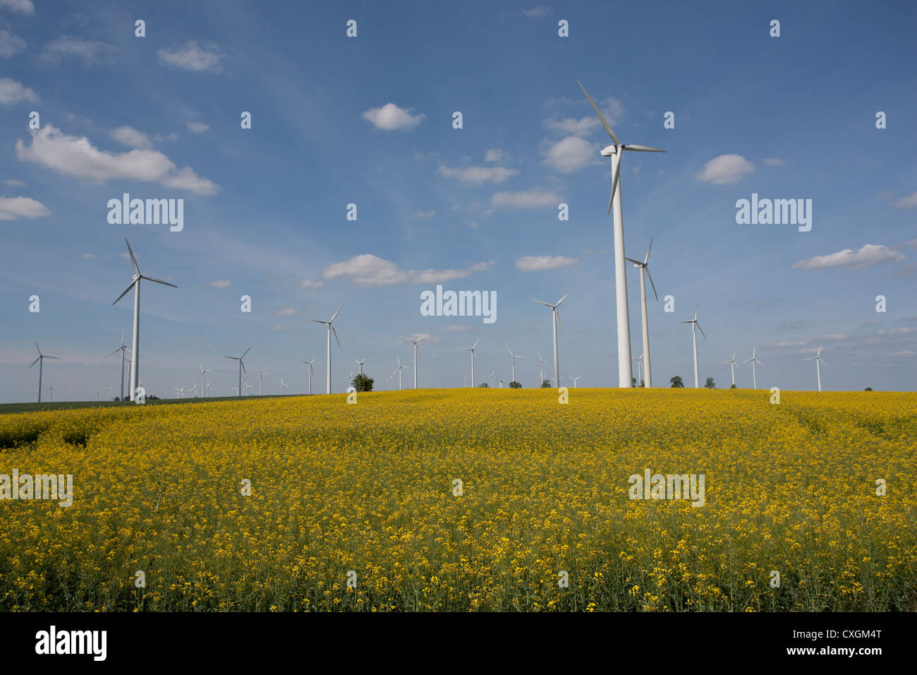 wind turbines at prenzlau, uckermark district, brandenburg, germany ...