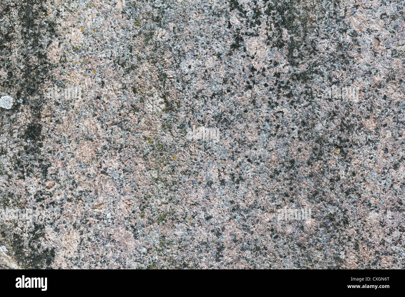 granite texture with moos, high detail Stock Photo - Alamy