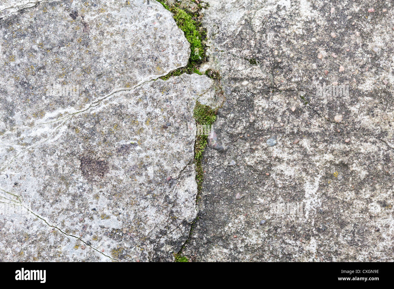 light grunge texture of stone with cracks and moos Stock Photo - Alamy