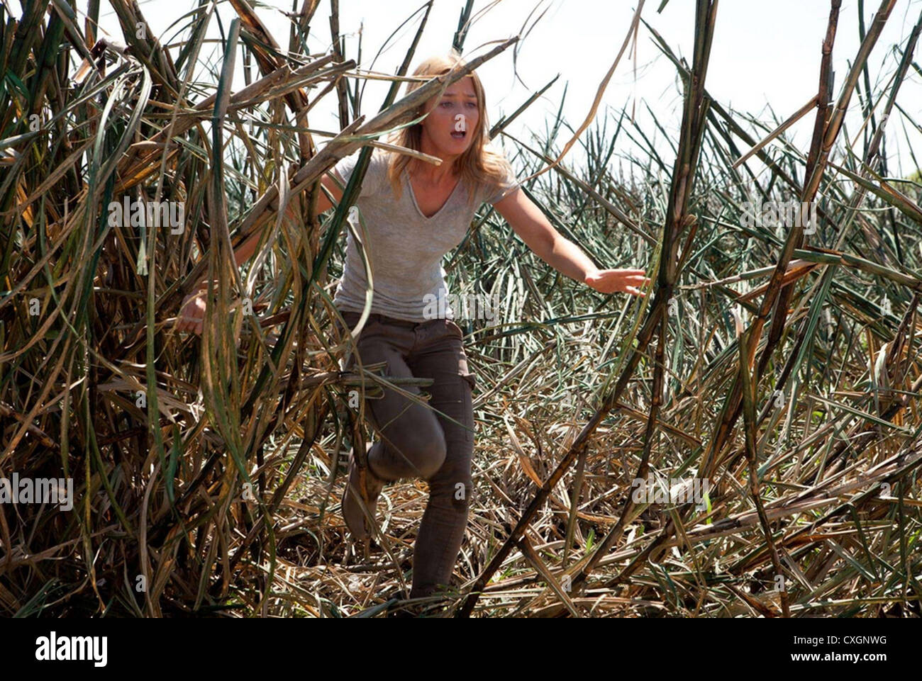 Looper Movie Actress