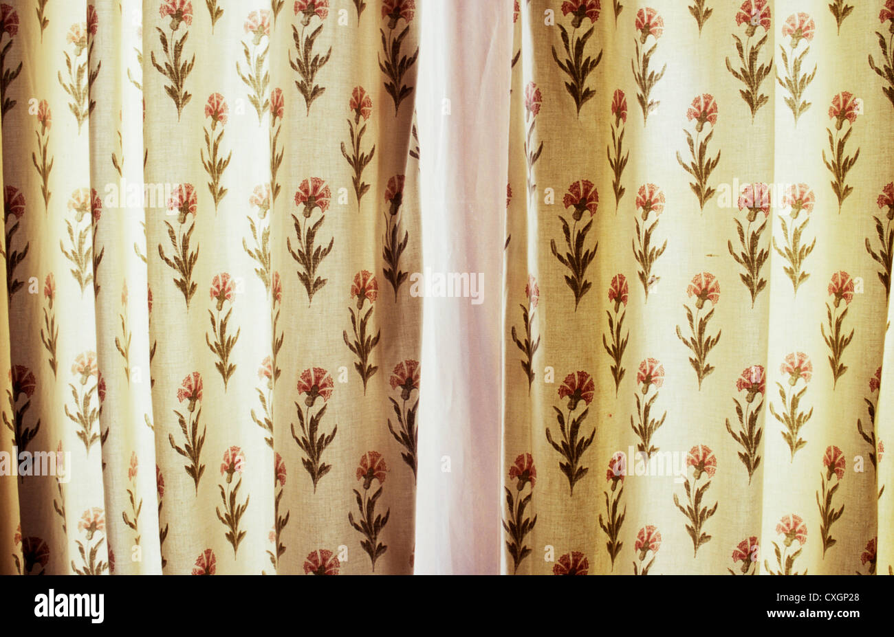 Detail of curtains with flower and plant pattern slightly open and with ...