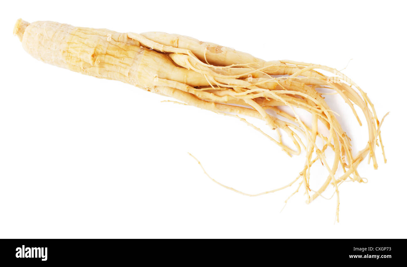 Ginseng (redberry) root, isolated on white background Stock Photo - Alamy