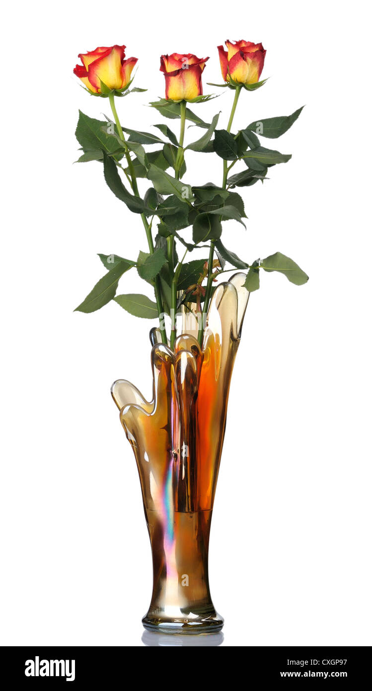Red roses in a glass vase, isolated Stock Photo - Alamy