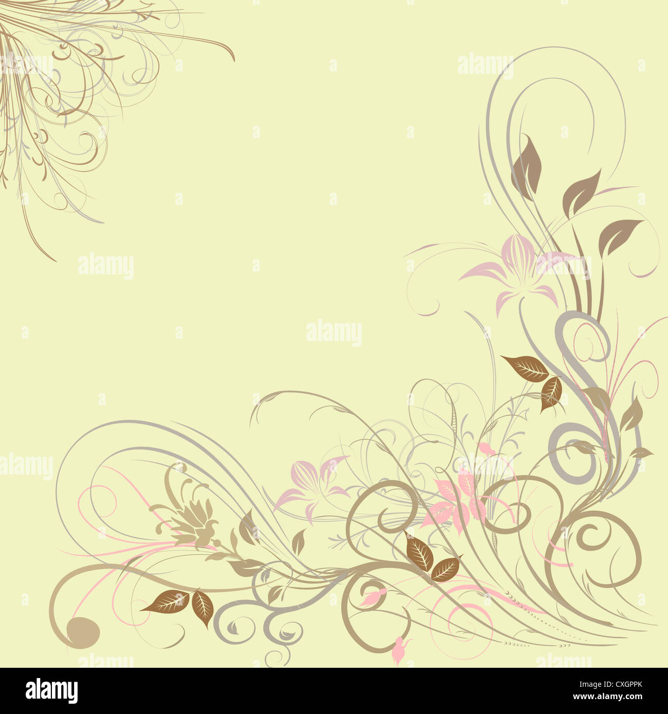 on a light background floral frame vector image Stock Photo - Alamy
