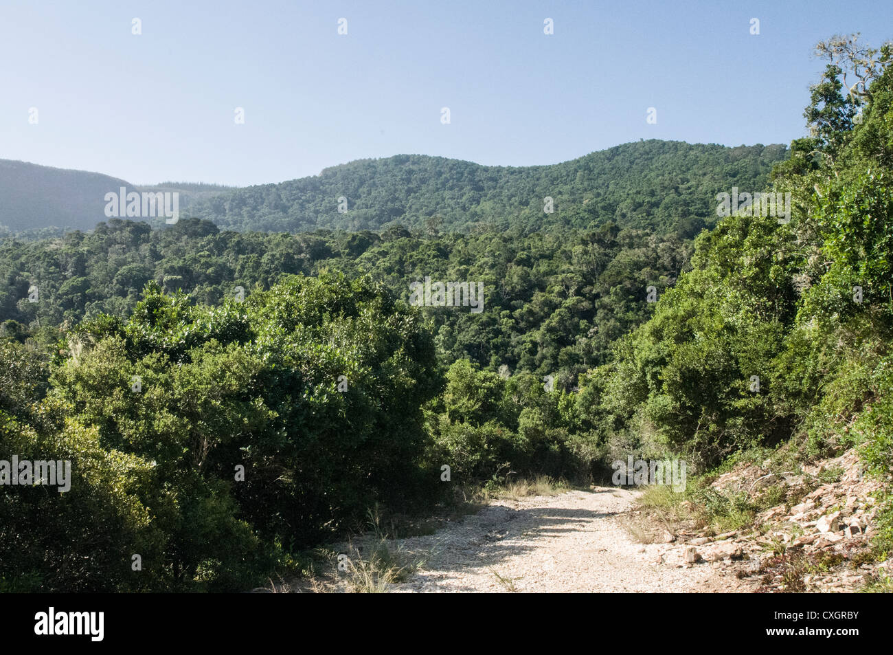 Nature's valley south africa hi-res stock photography and images - Alamy