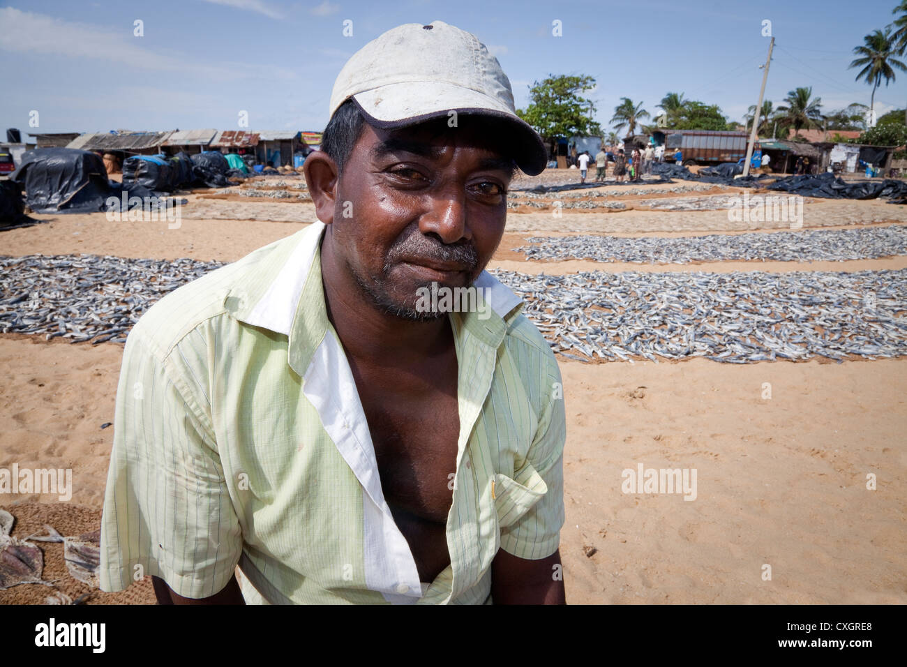 Local fisherman at the local harbour, Negombo, Sri Lanka with fish ...