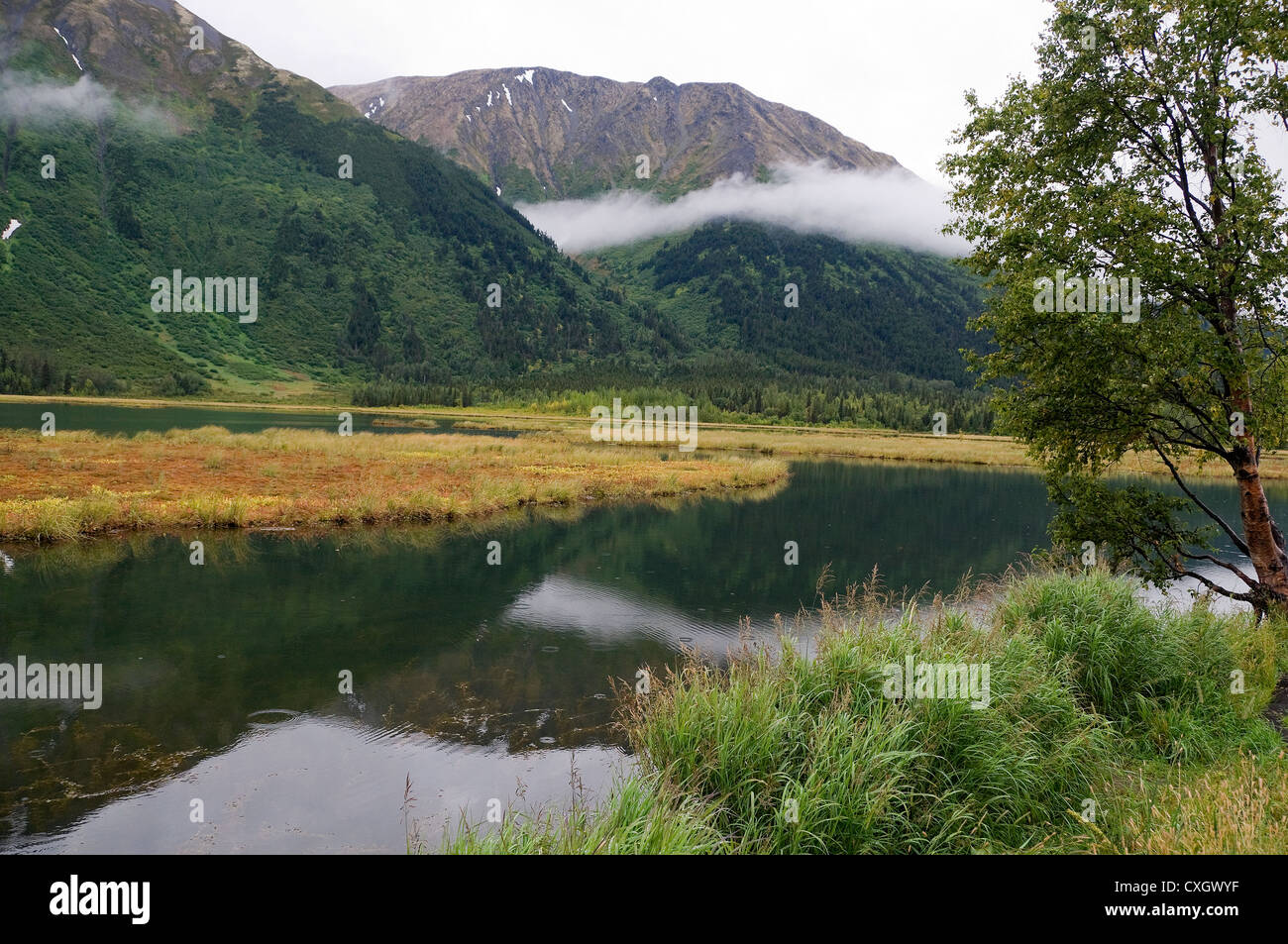 Alaska's Kenai Peninsula offers beautiful lakes and rivers in pristine ...