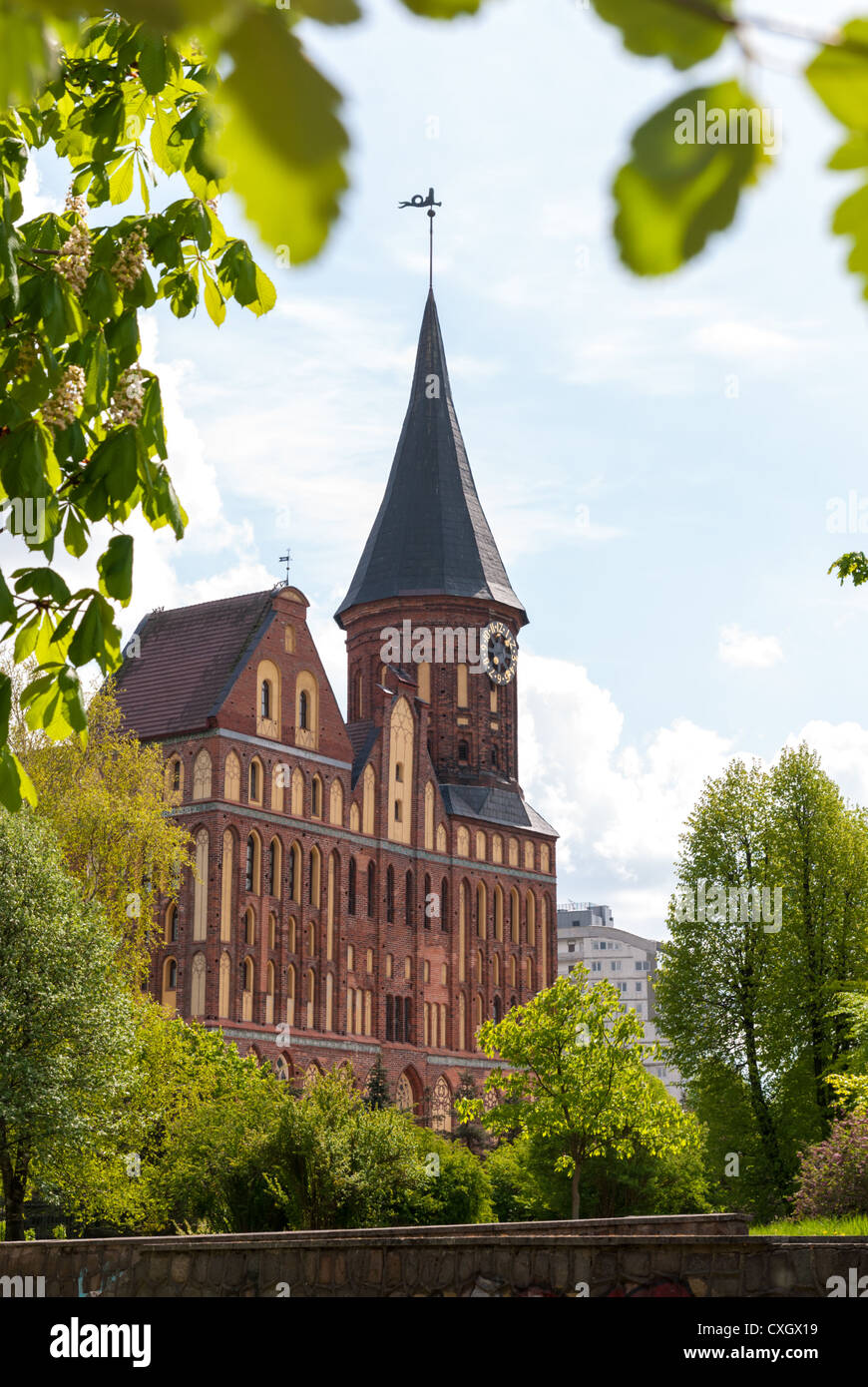 Kant's cathedral in Kaliningrad. Russia Stock Photo - Alamy