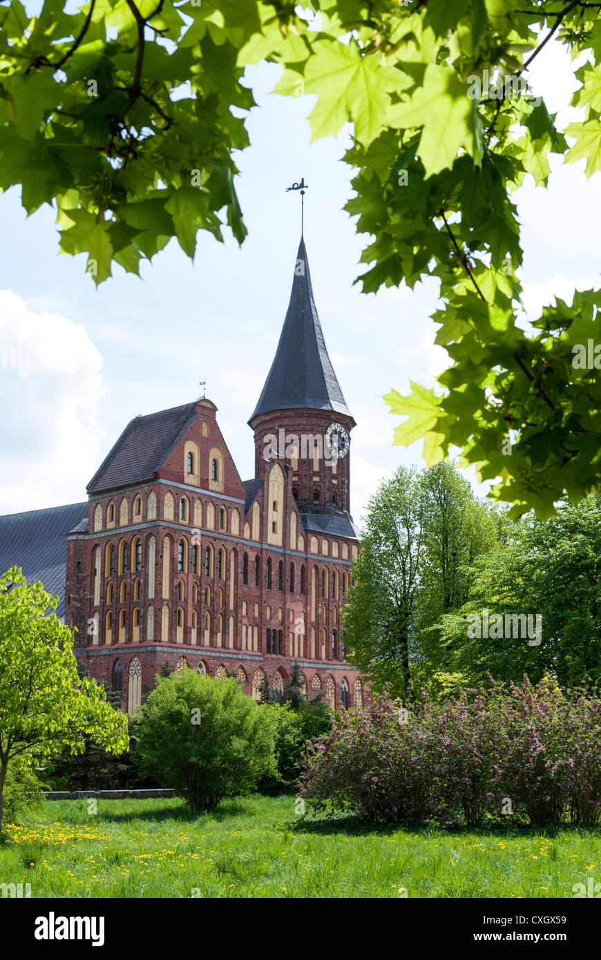 Kant's cathedral in Kaliningrad. Russia Stock Photo - Alamy